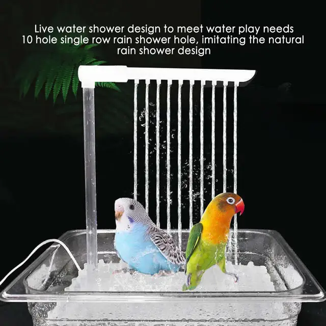 Bird Bath Tub tub Bird Automatic Bath Shower With 180 Jamaica Parrot Bath