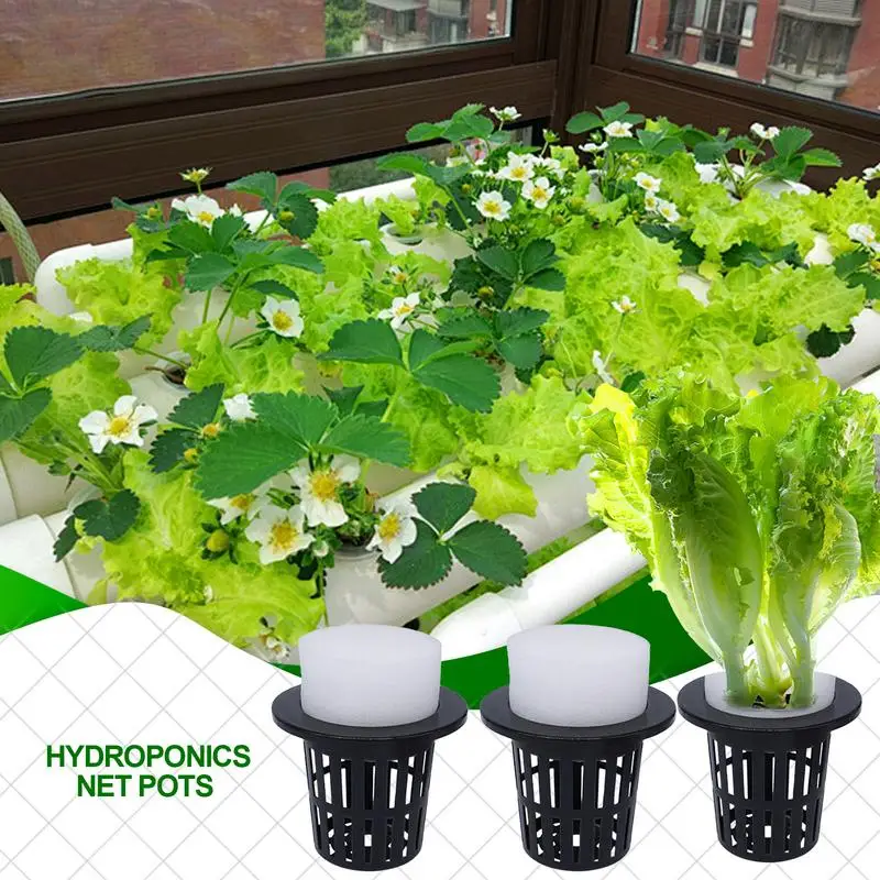 Hydroponic Baskets 50X Garden Slotted Plants Hydroponic Cups Soilless ...