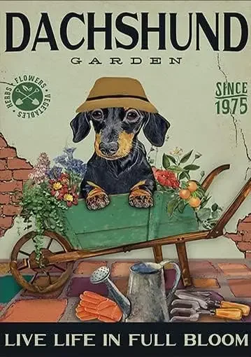 Metal-Tin-Sign-Dachshund-Garden-Live-Life-In-Full-Bloom-Sign-Vintage ...