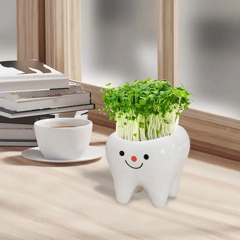 Tooth-Shaped-Planter-3PCS-Tooth-Shape-Flower-Planter-Cactus-Planter-For ...