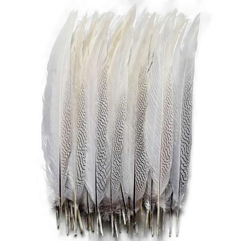 Plumas de faisán de plata Natural, pluma blanca grande de 30 80CM de ...