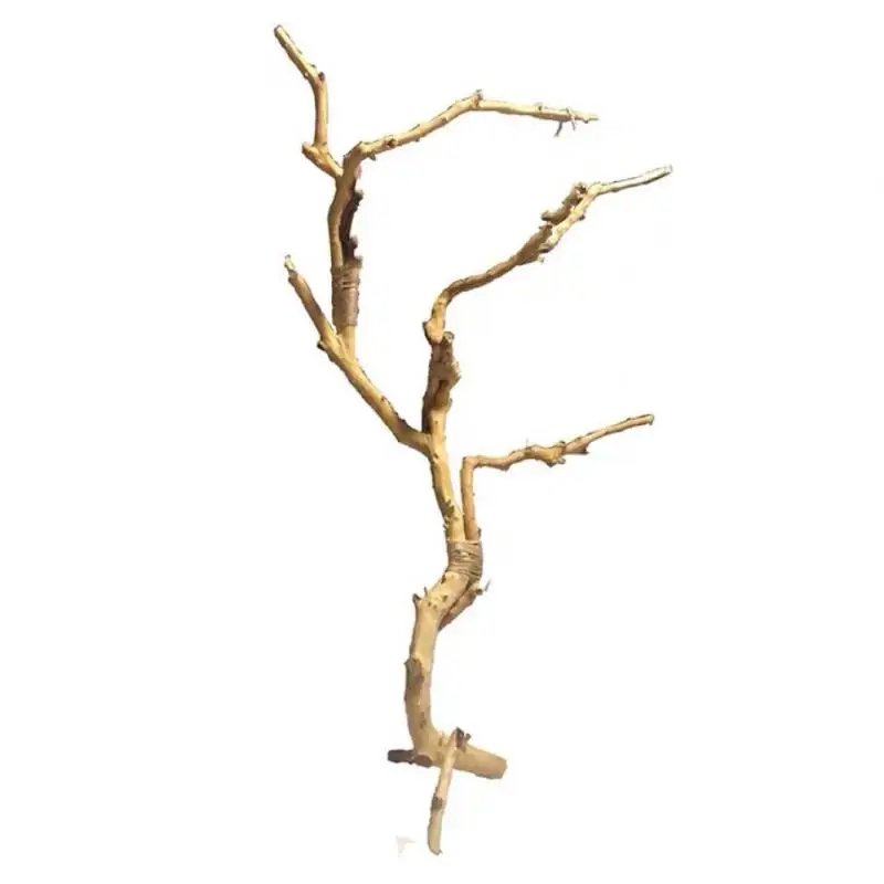 Dry-Branch-Log-Tree-Branch-Art-Deadwood-Peeling-Branch-Bird-Stand-Lamp ...