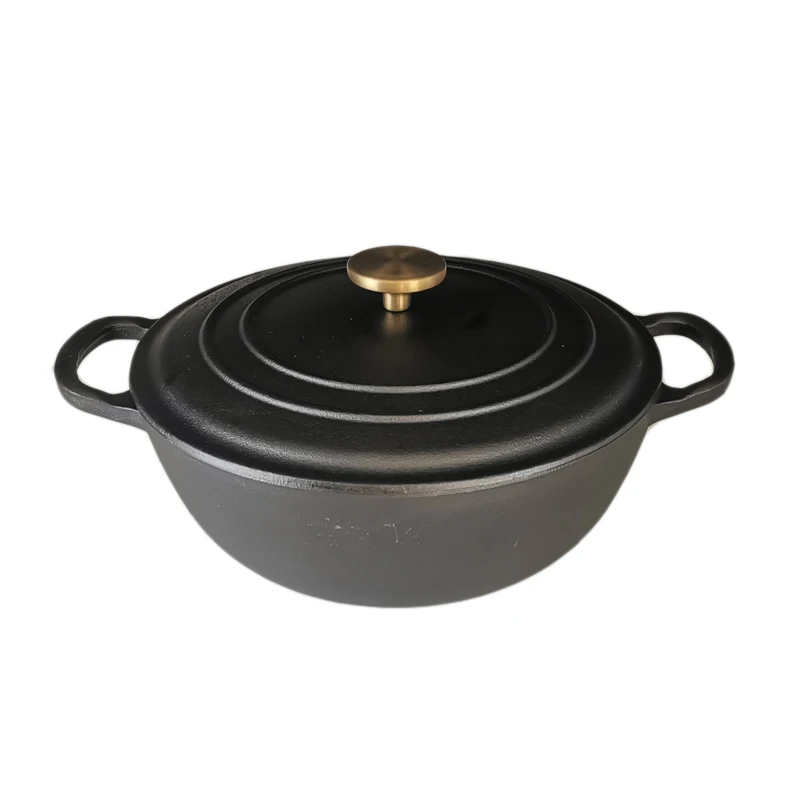 26cm-Cast-Iron-Stew-Pot-with-Lid-Multifunction-Cookware.jpg