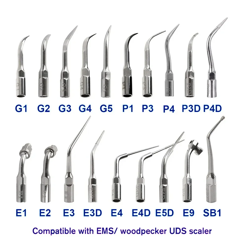 1Pc-Dental-Ultrasonic-Scaler-Tips-Scaling-Periodontics-Endodontics-Fit ...