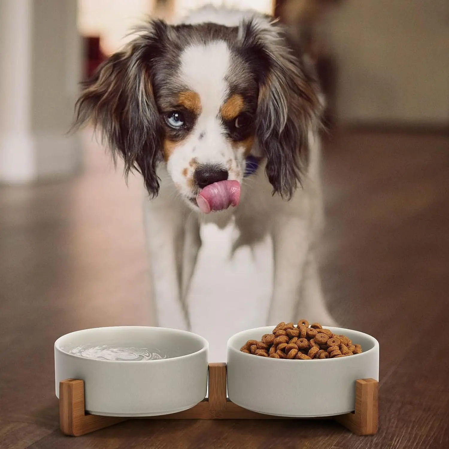 Ceramic Pet Bowl Dish With Wood Stand No Spill Pet Ceramic Double Bowl ...