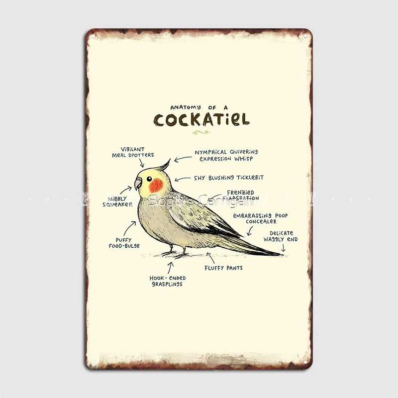 Anatomy Of A Cockatiel Metal Sign Cinema Living Room Living Room Wall ...