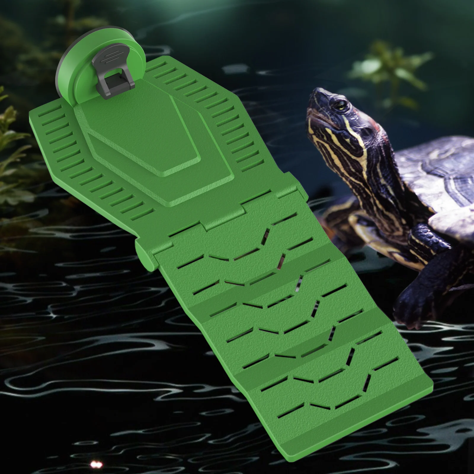 Folding-Turtle-Sundrying-Platform-Climbing-Platform-Wall-Suction-Cup ...