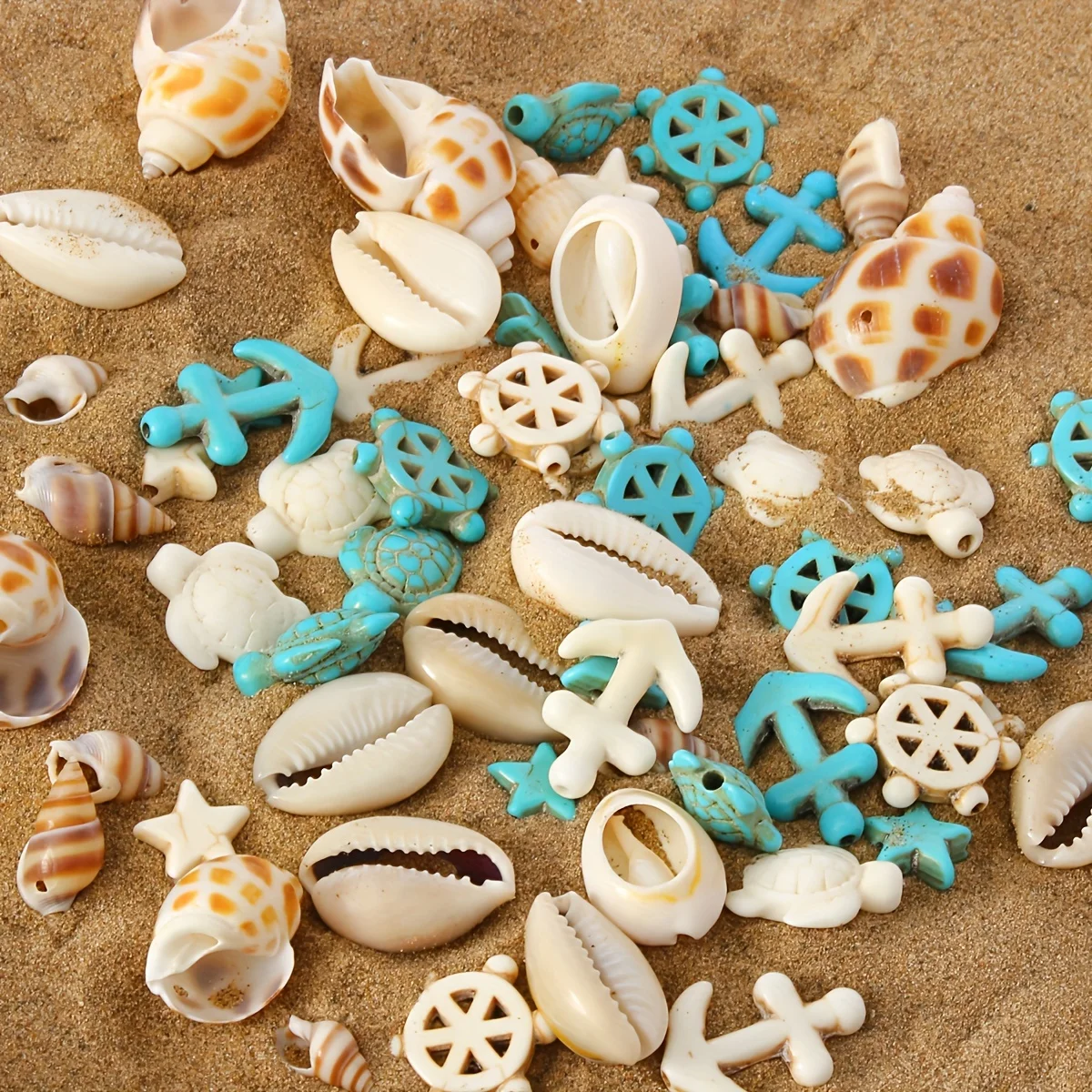 Conchas-naturales-al-azar-conchas-marinas-estrellas-tortugas-materiales ...