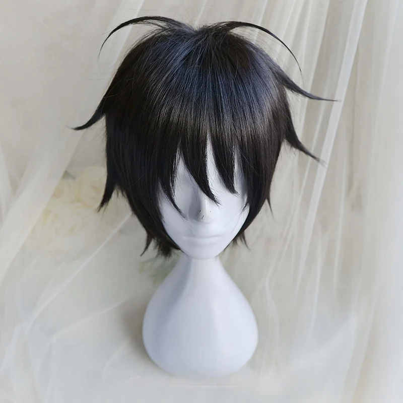 One Piece Monkey D. Luffy Short Black Wig Heat Resistant Synthetic Hair ...