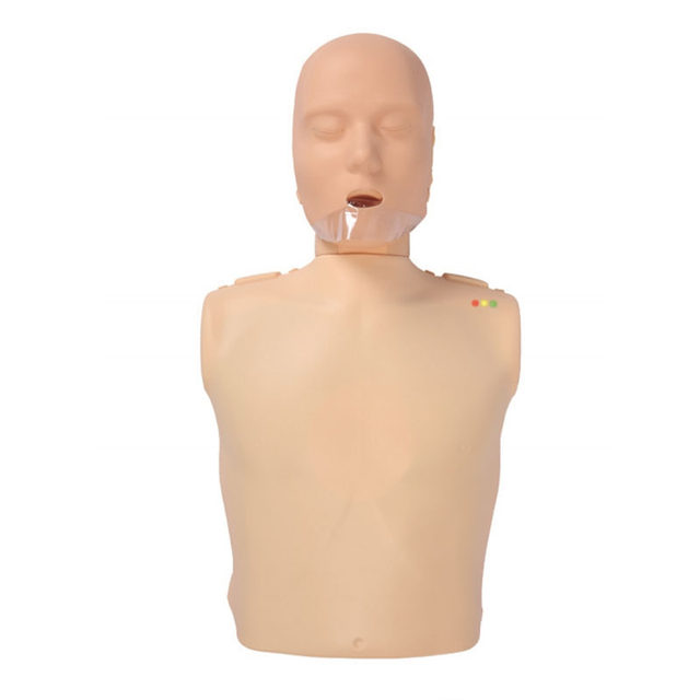 Human Body Model for Cardiopulmonary Resuscitation Simulation Training