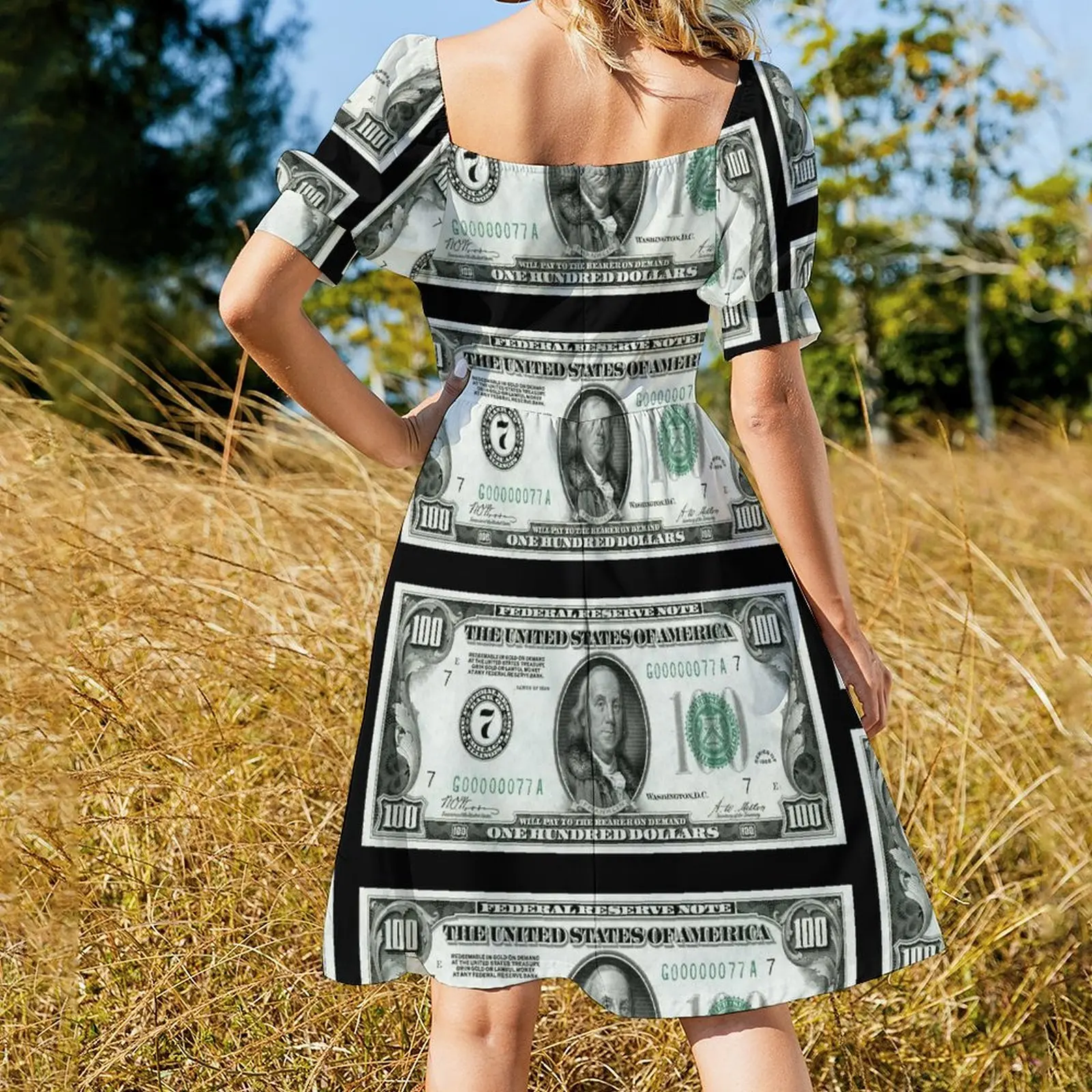 100 Dollar Bill Dress