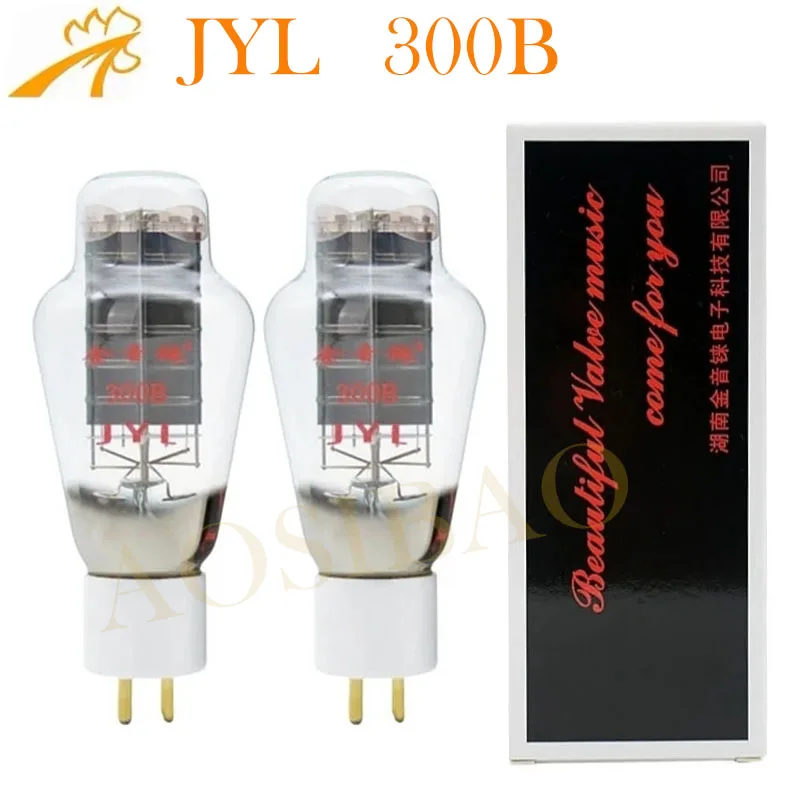 JYL-Vacuum-Tube-300B-Replace-4300B-7300B-WE300B-300BT-300BN-300B-Tube ...