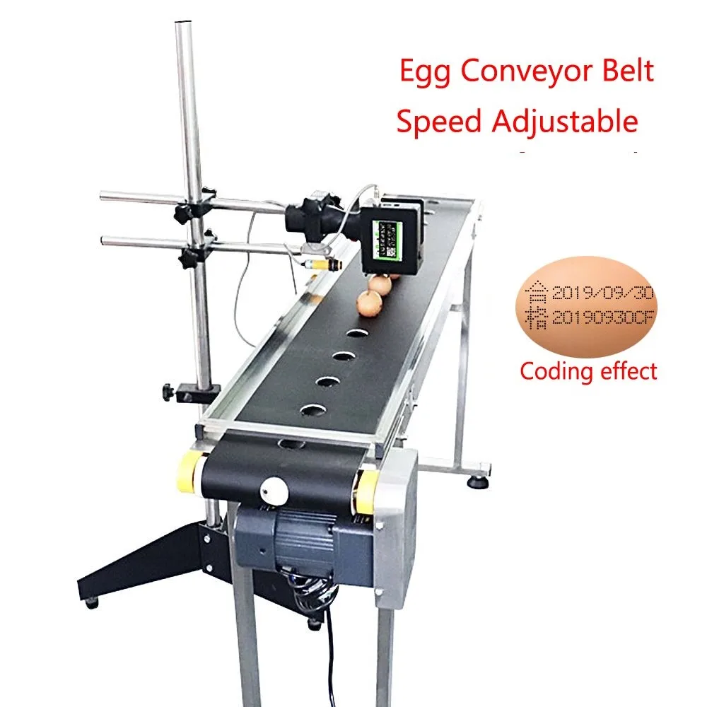 Egg-Conveyor-Belt-Machine-150CM-With-Inkjet-Printer-Bottle-Sticker-and ...