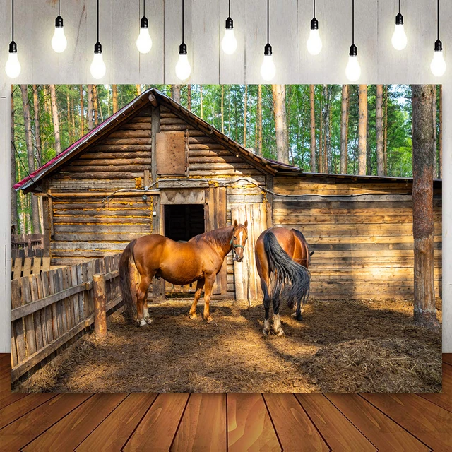 Horse Barn Wallpaper