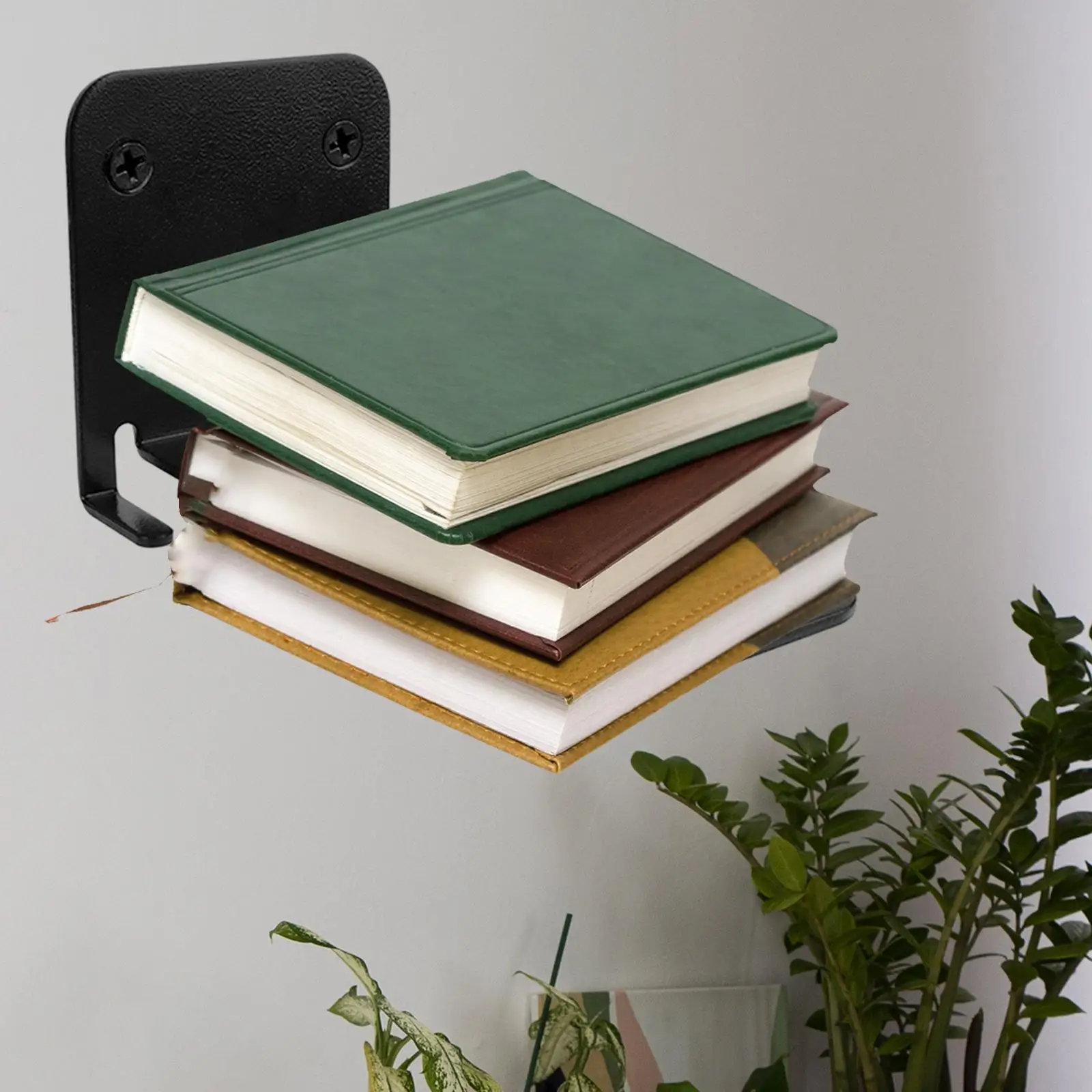 Conceal Wall Shelves For Books