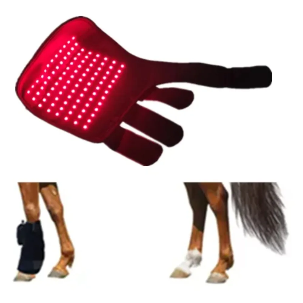 Factory-Outlet-Pet-Red-Light-Therapy-Equine-Feet-Boot-Head-Back-660nm ...