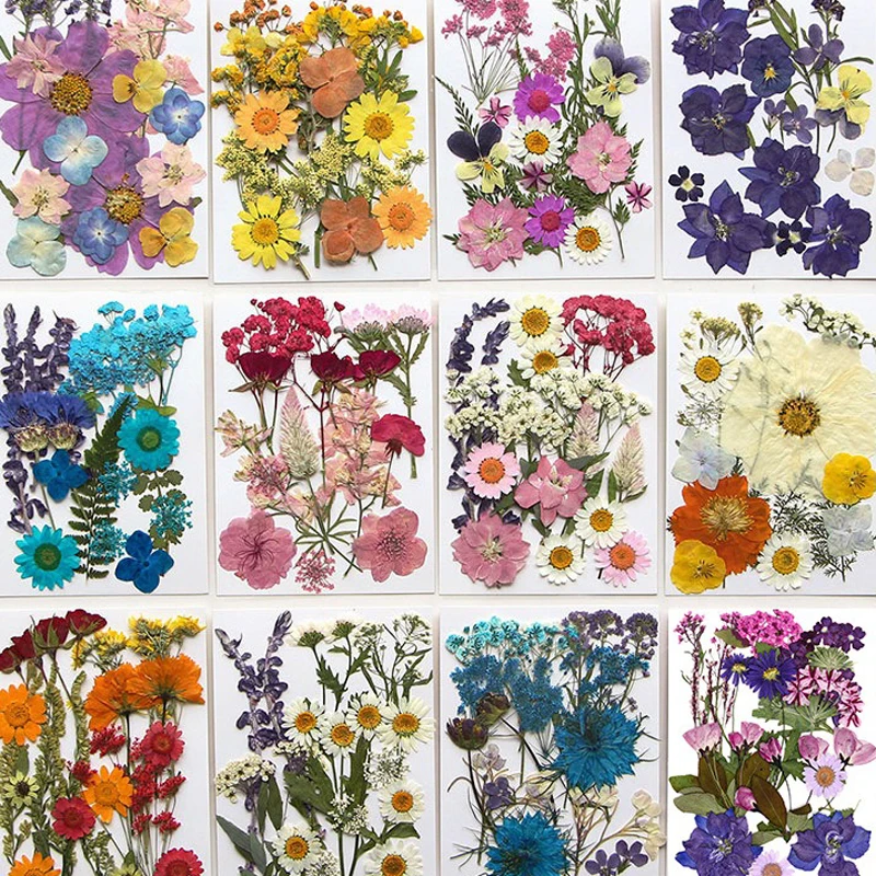 Dried-Flower-Set-16-19PCS-Pack-Pressed-Real-Natural-Flowers-Leaves-for ...
