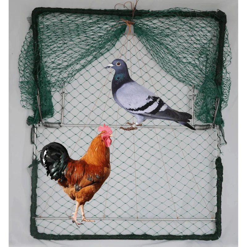 Armadilha ao ar livre Bird Cage Bird Net Catcher Para Pombos Sparrow ...