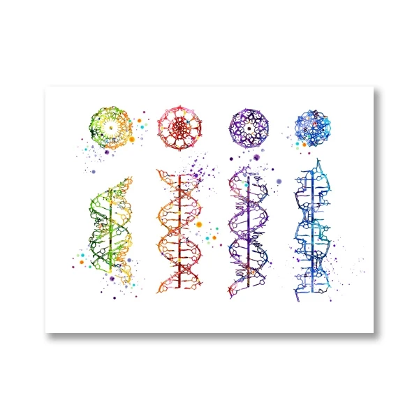 Dna Molecule Art