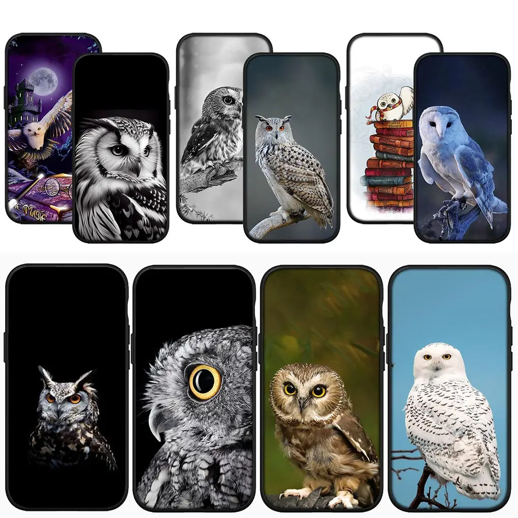 Owl Wallpaper For Iphone