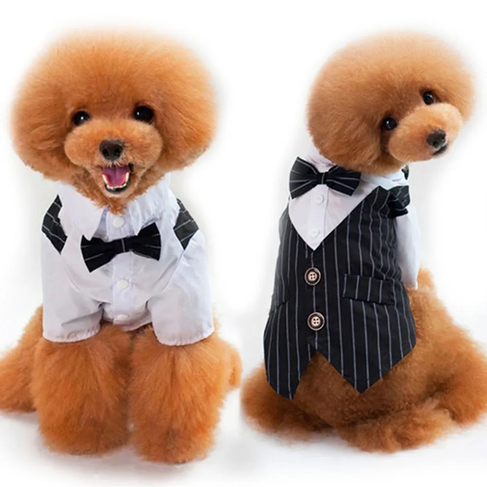 Dog-Tuxedo-Formal-Shirt-Suit-Prince-Bow-Tie-Costume-for-Small-Medium ...