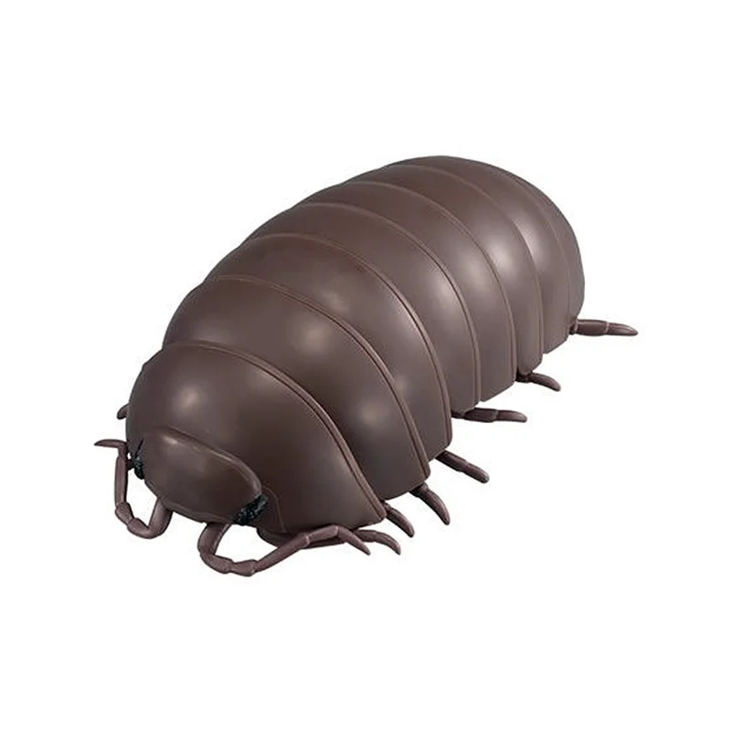 Giant Pill Bug