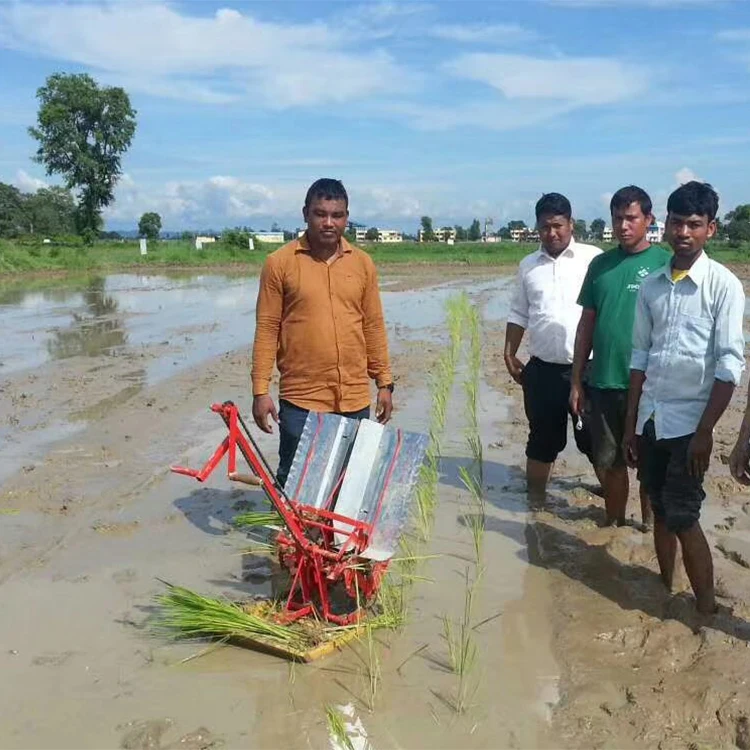 High-efficiency-manual-paddy-rice-transplanter-2-rows-rice-planting ...