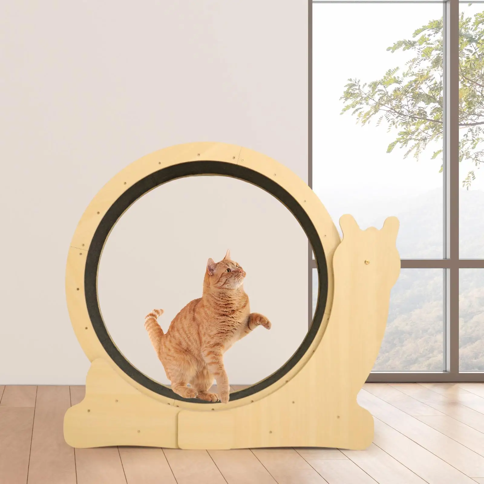 Store Home Products Anniversary Sale Feedback