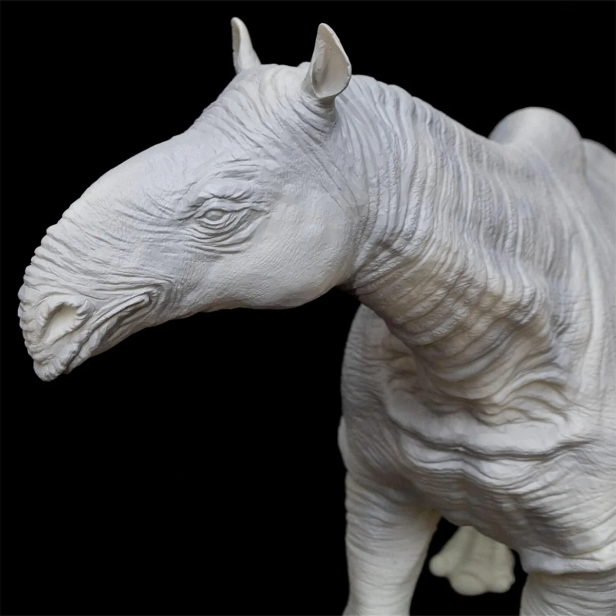 Indricotherium Model