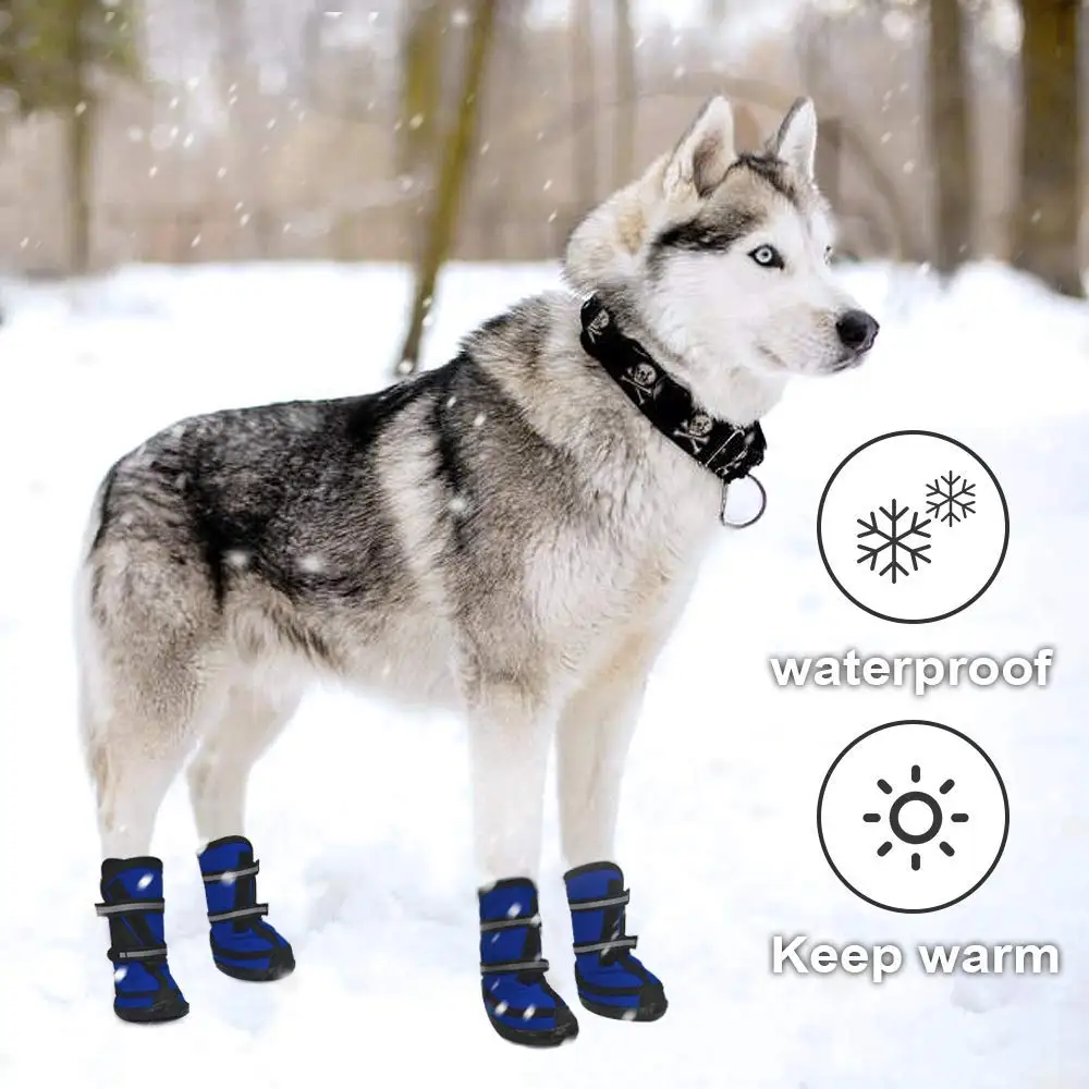 How To Keep A Husky Warm In The Winter