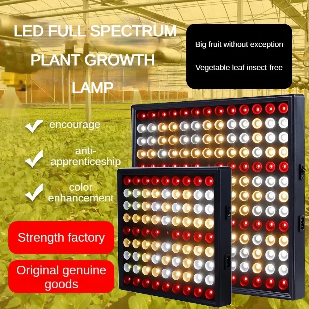 169-LEDs-LED-Growing-Lamps-Quantum-Plate-Plant-Lamp-Indoor-Full ...