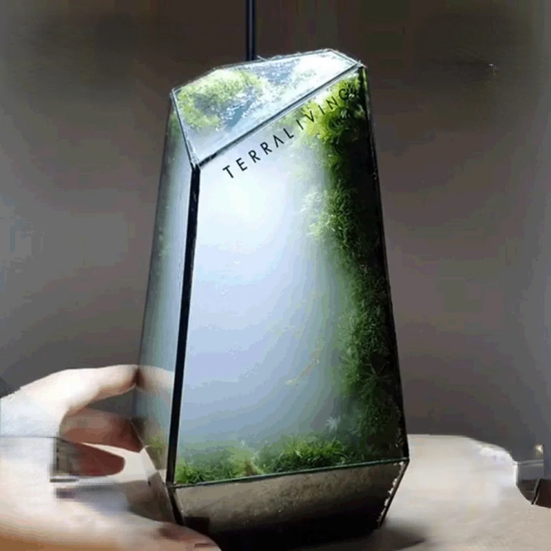 Micro-Landscape-Glass-Vase-Mini-Garden-Glass-Cover-Home-Decor-Preserved ...