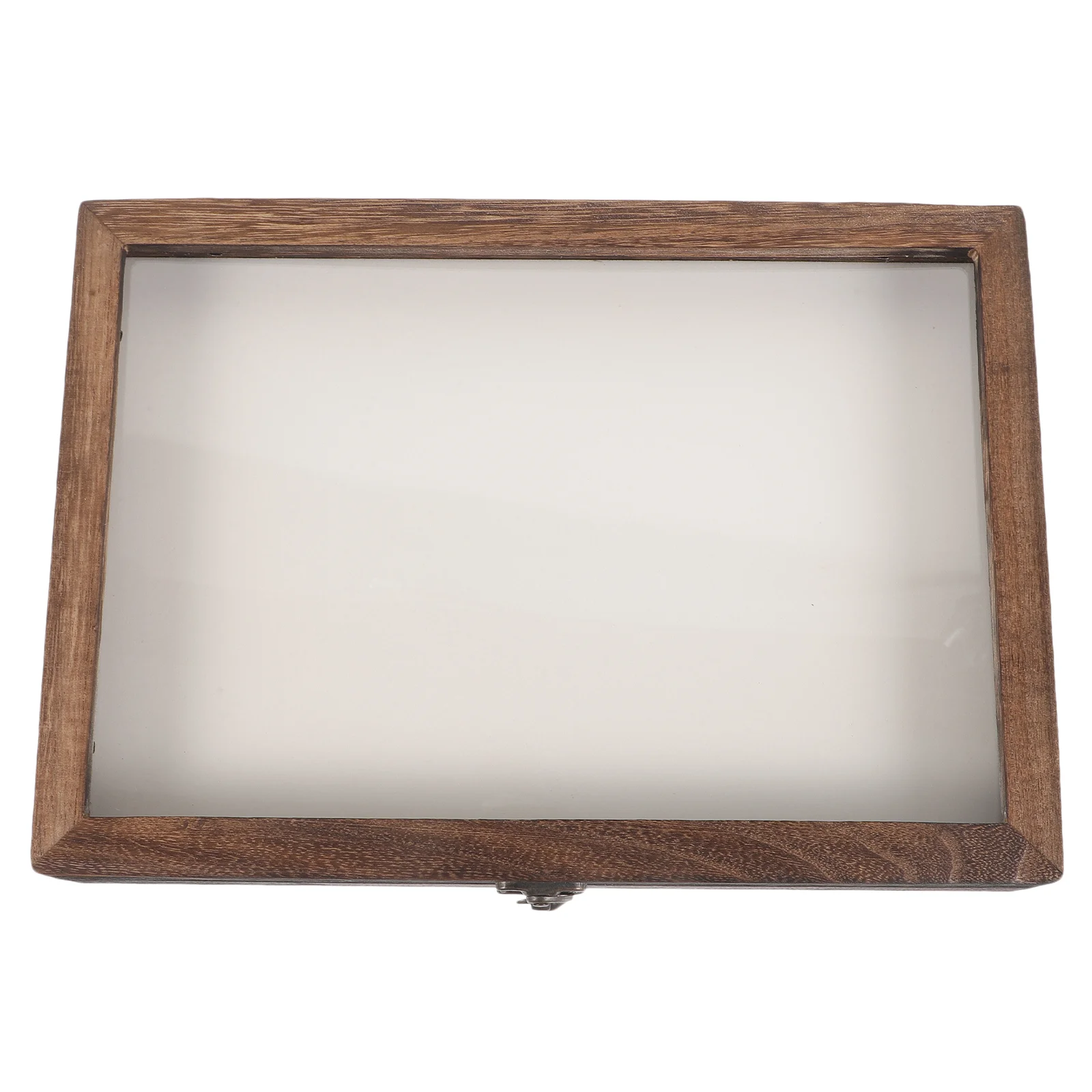 Vintage-Specimen-Display-Case-Insect-Butterflies-Pin-Cushion-Cases ...