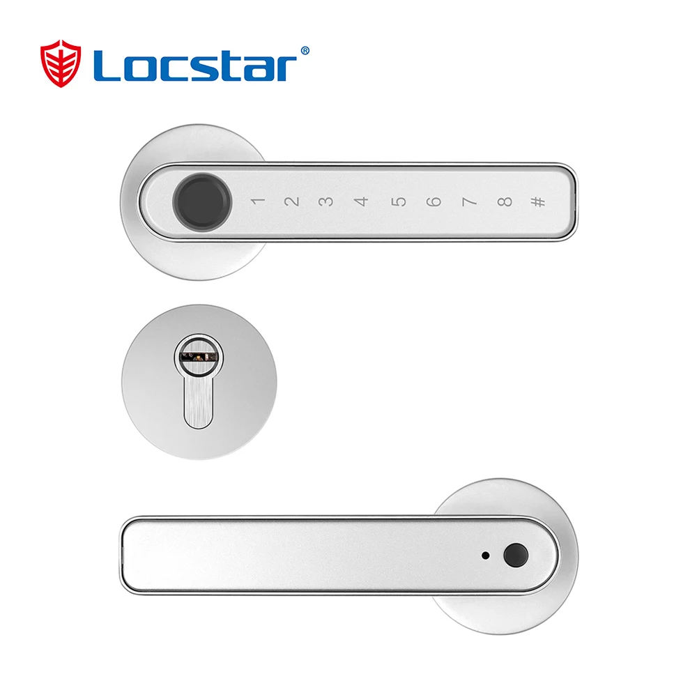 Locstar-Tuya-Fingerprint-Electric-Handle-Lock-Ttlock-Smart-Home-Door ...