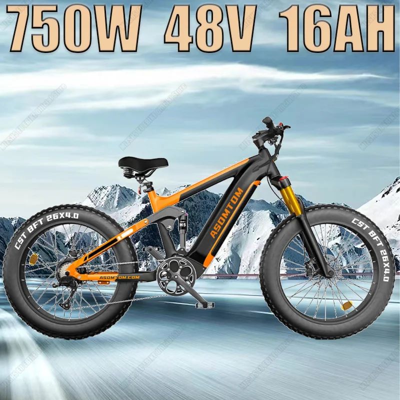 SR6-E-bike-750W-Motor-48V16AH-Lithium-Battery-Aluminum-alloy-Electric ...