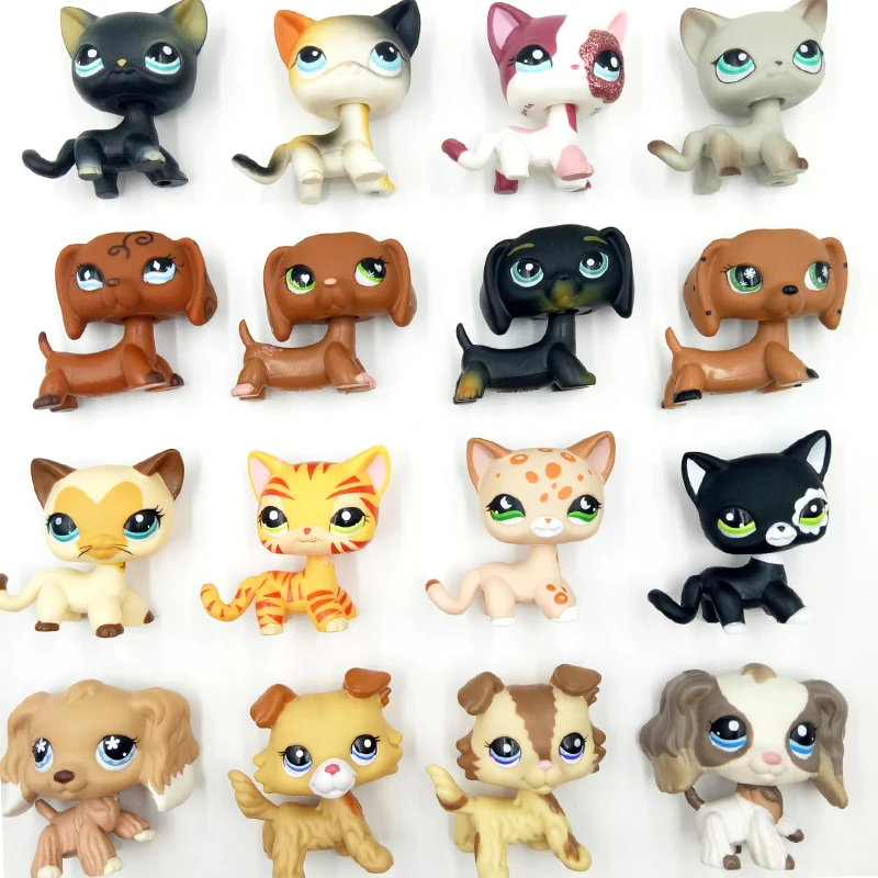 LPS-CAT-pet-shop-toys-10pcs-lot-toys-animal-short-hair-cat-collie-great ...