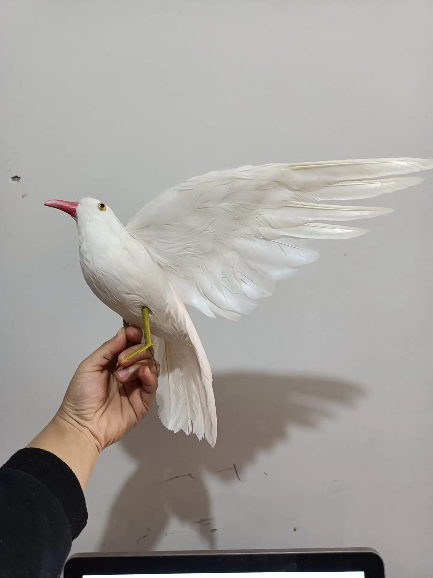 White Dove Wings