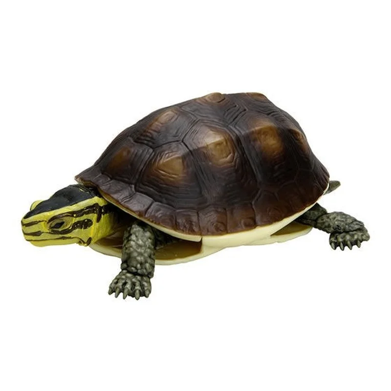 Snapping Turtle Eating Snake