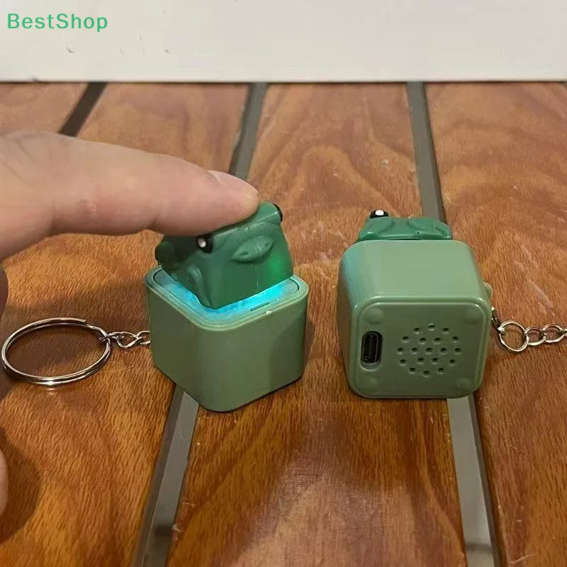 ️Voice-activated LED Frog Electronic Keychain Rechargeable Keyboard ...