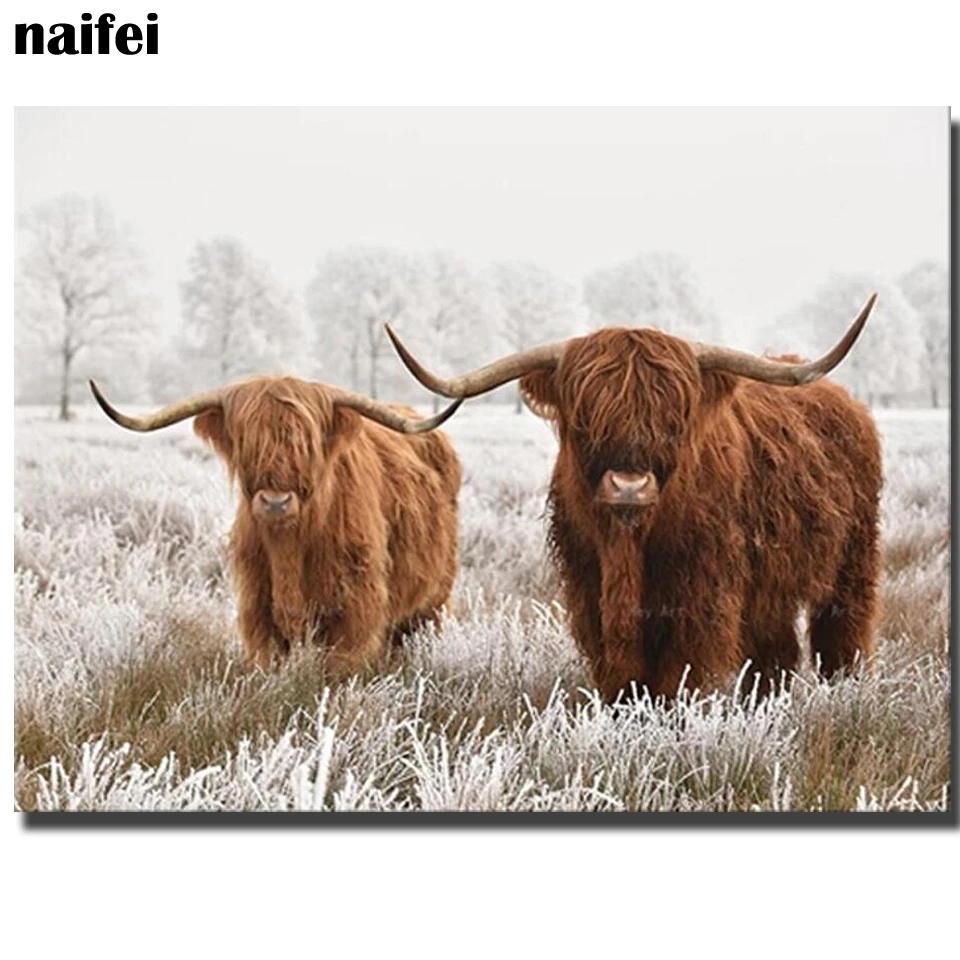 Diamond Painting Highland Cattles | Highland Cow Diamond Painting ...