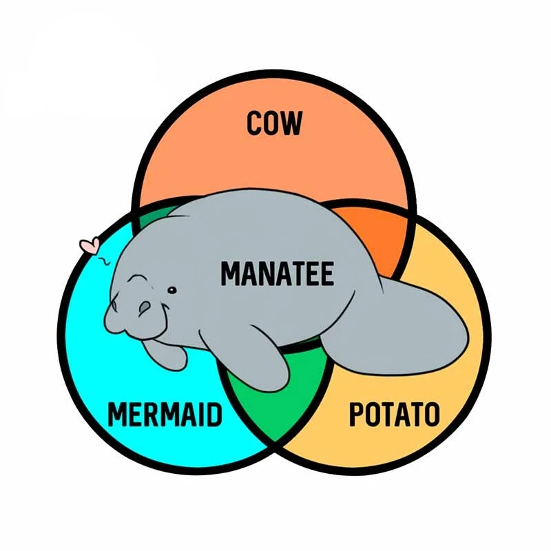 Manatee Mermaid