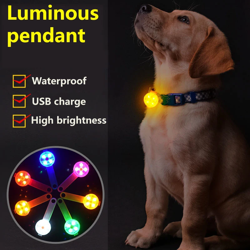 Pet Night Safety Led Flashlight Collar | Led Luminous Pendant Dog | Led ...