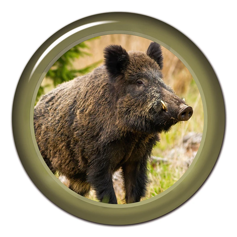 21905-Wild-Boar-Car-stickers-Boar-stickers-Wild-boar-decal-Forest ...