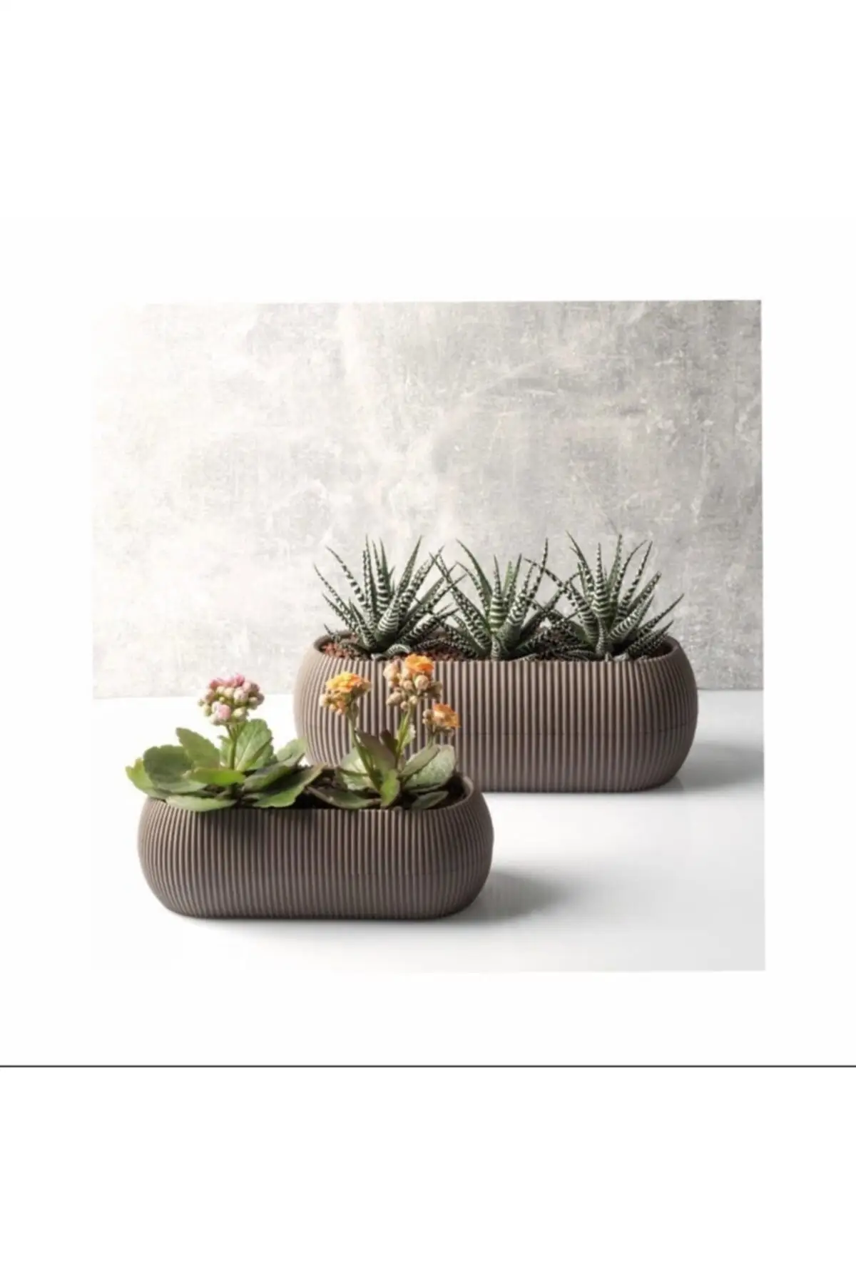 Luxury Plastic Tall Coral Flower Pot With Water Tank|Flower Pots ...