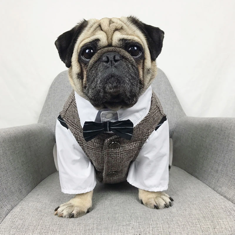 Dog Suit Gentleman Pet Clothes Wedding Vest Set Formal Shirt For Small ...