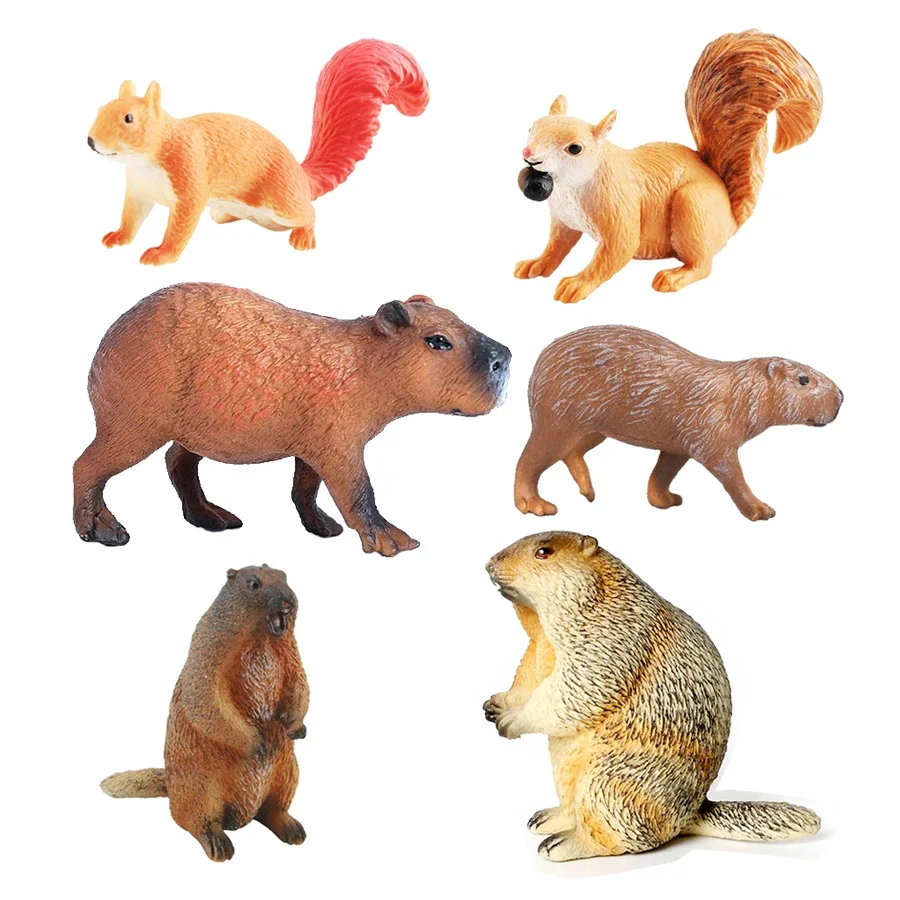 Squirrel-Capivara-Marmot-Capybara-Models-Action-Figure-Toy-Animals ...