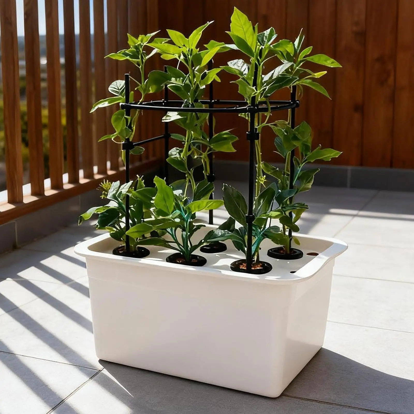 Hydroponic System Growing Box Grow Box Hydroponics Growing System Kit ...