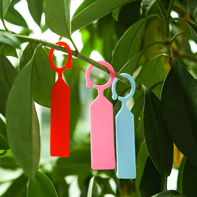 Ring Planting Tag – Everyday Garden