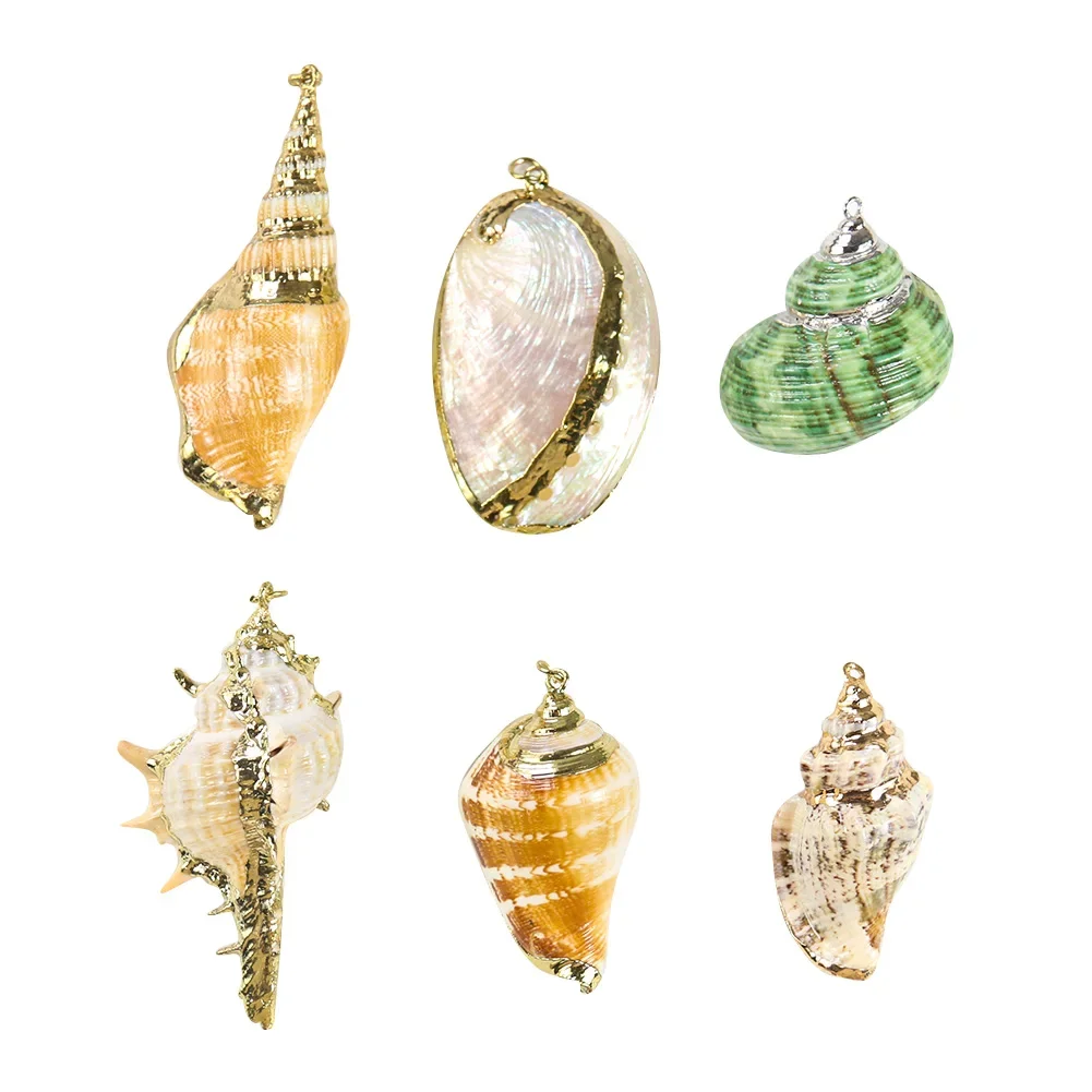 5PCS-Natural-Conch-Seashell-Ornaments-for-Pendant-Shells-Charms ...