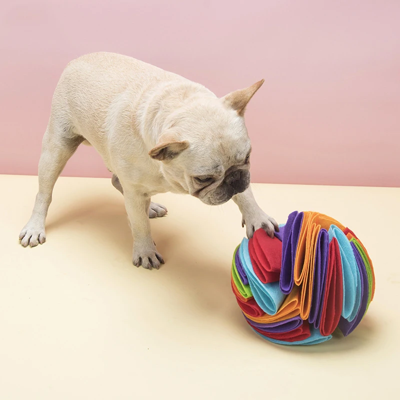 DualPet Dog Toys Sniffing Ball Pet Puzzle Toy Colorful Foldable Nose ...
